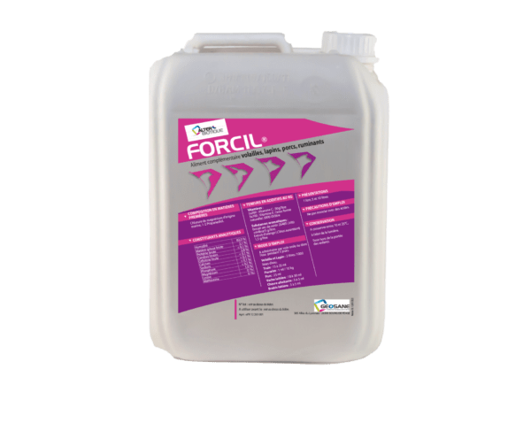 FORCIL - Porc | Produit d'élevage Géosane